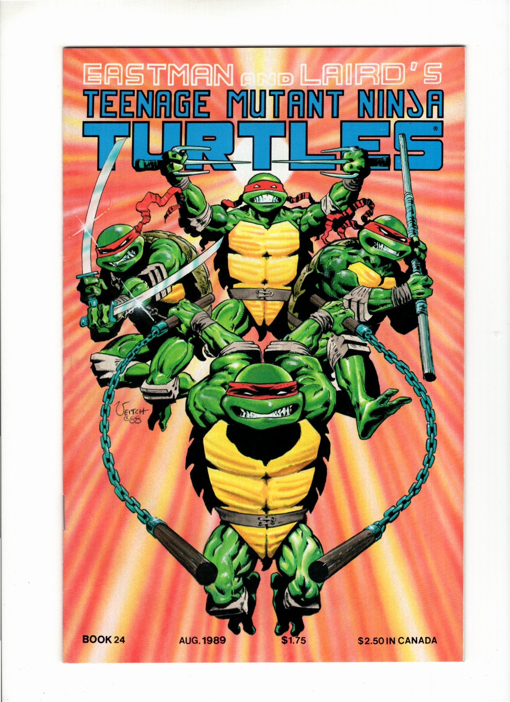 Teenage Mutant Ninja Turtles, Vol. 1 #24 (1989) Mirage Publishing ...